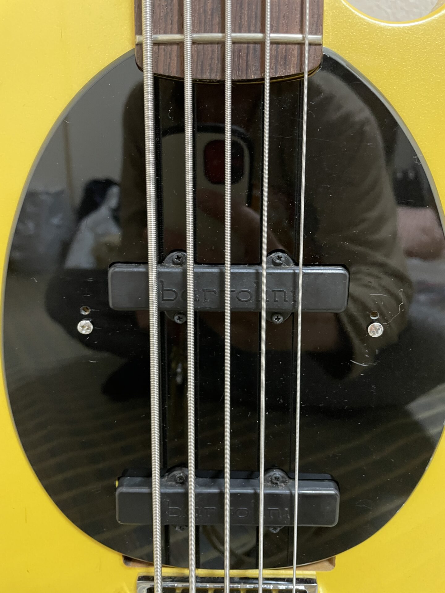 コレクションNO.172 Robin Freedom Ⅱ 5St Kahler Tremolo Custom - テクテクchブログは左側片 ...